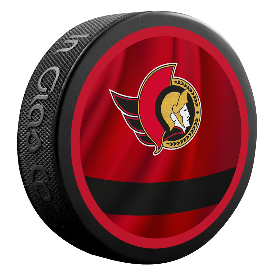 Reverse Retro Pucks – Frozen Pond